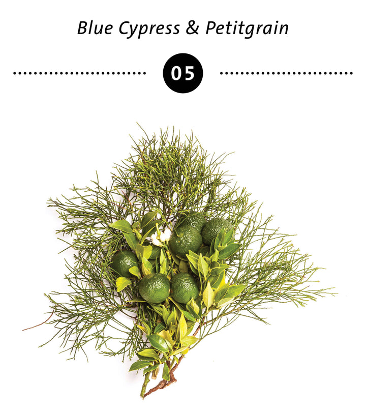 Botanicals – Bondi Wash