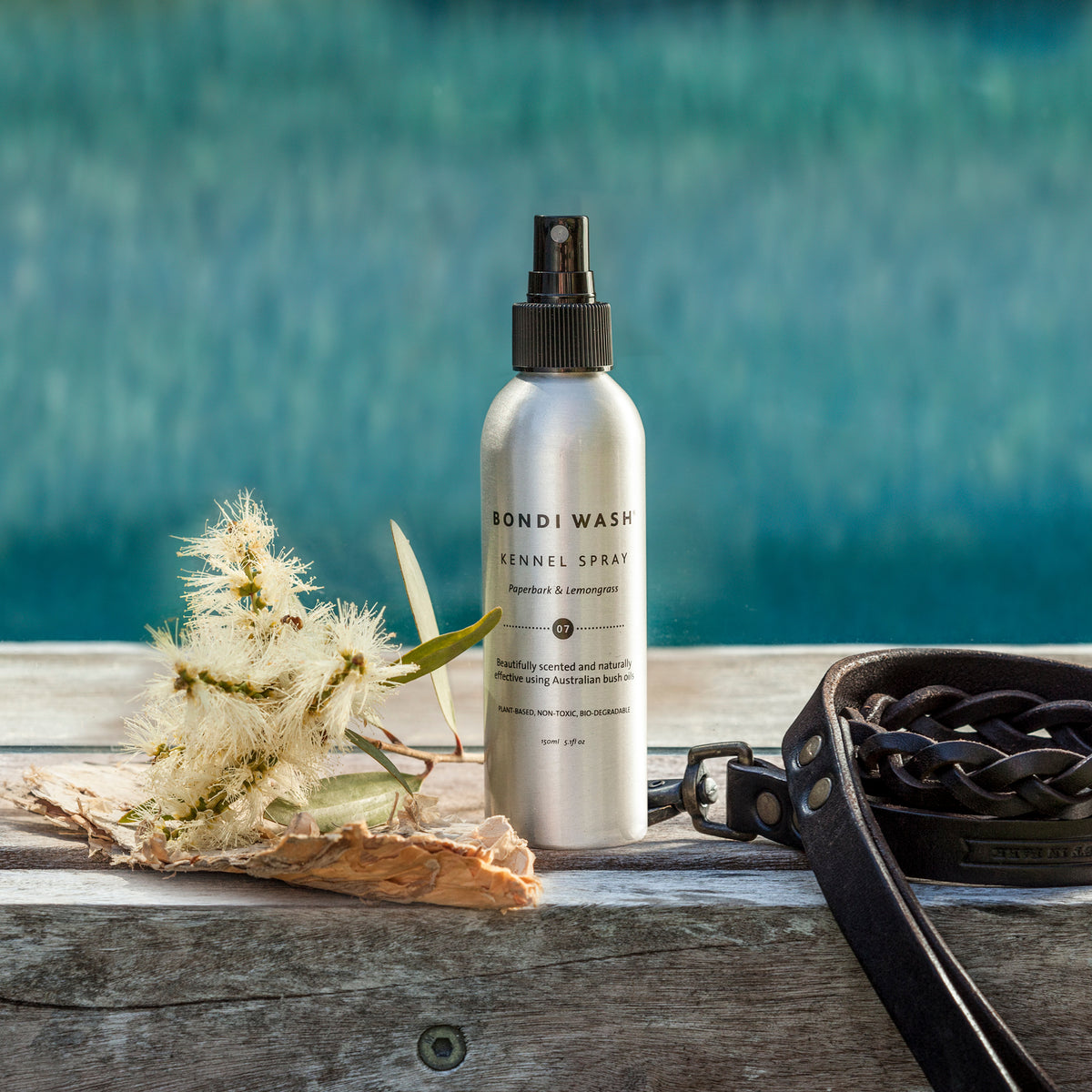 Kennel Spray | Bondi Wash
