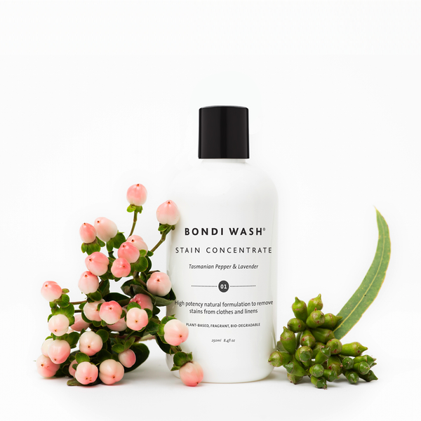 Stain Remover Concentrate | Bondi Wash